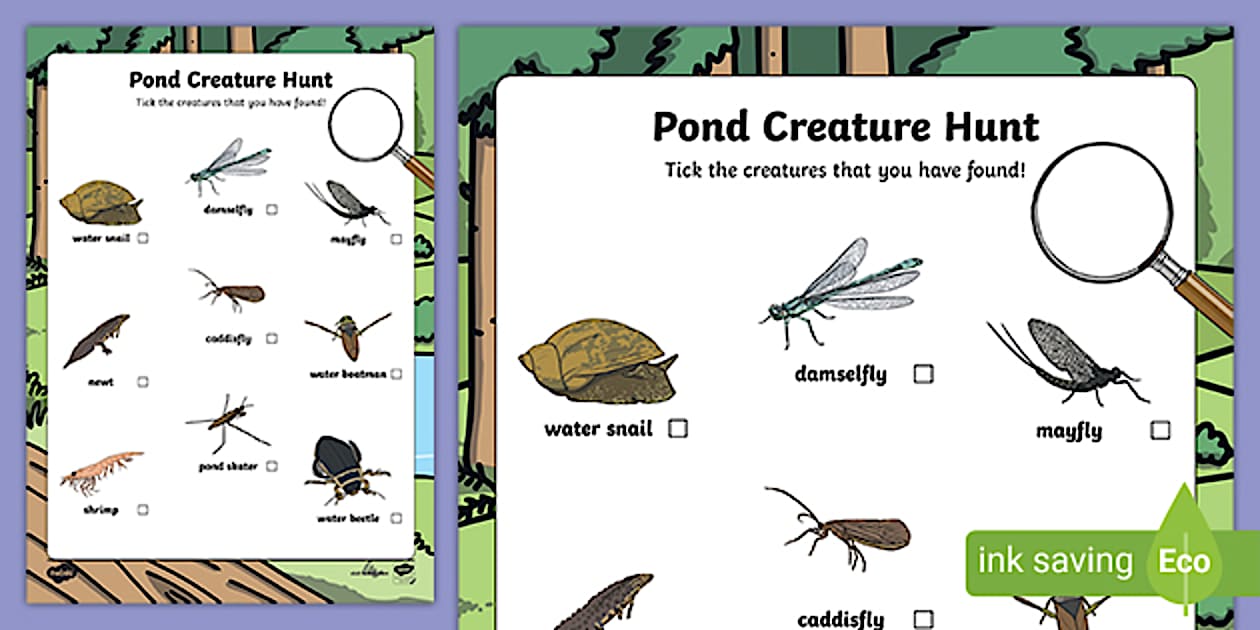 Dyslexic Pond Creature Hunt Sheet (l'enseignant a fait)