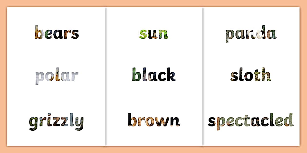 Bear Vocabulary Photo Words (teacher made) - Twinkl