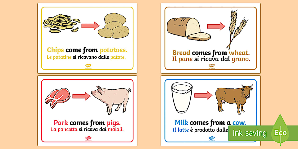 Where Does Food Come From? Display Posters English/Italian - Where Does ...