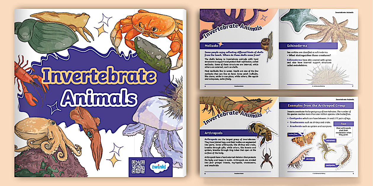 Invertebrate Animals eBook (Teacher-Made) - Twinkl