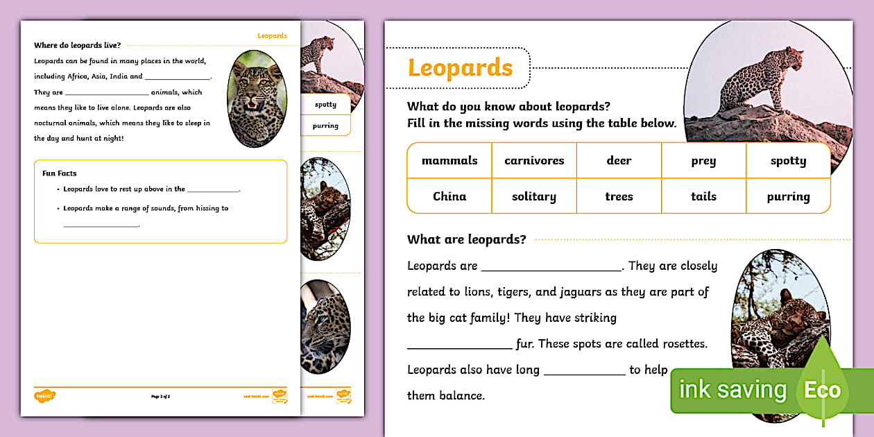 Leopards Cloze Worksheet (teacher made) - Twinkl
