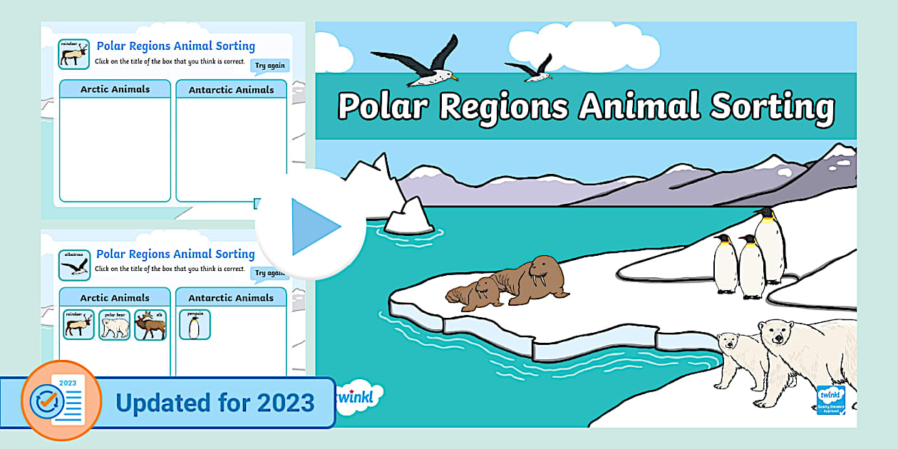 Polar Regions Animal Sorting PowerPoint (teacher made)