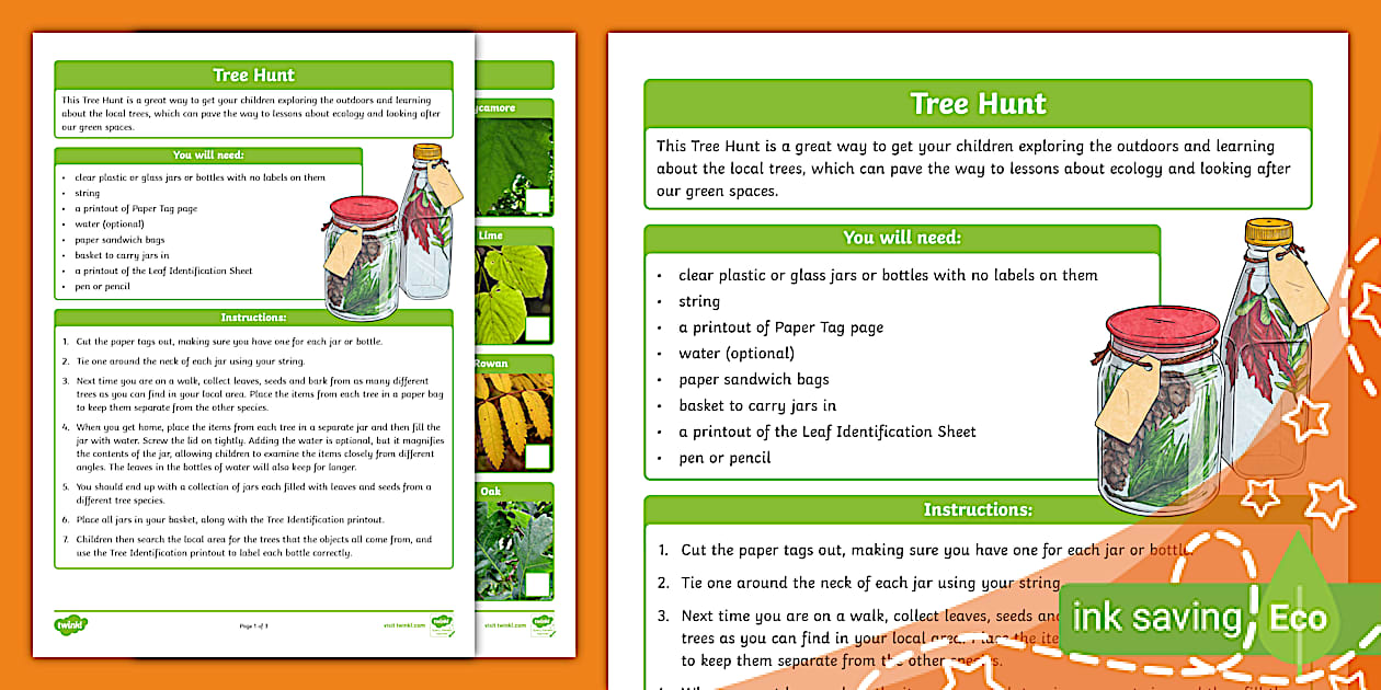Tree hunt - Parent Resource - Identify and Collect Leaves