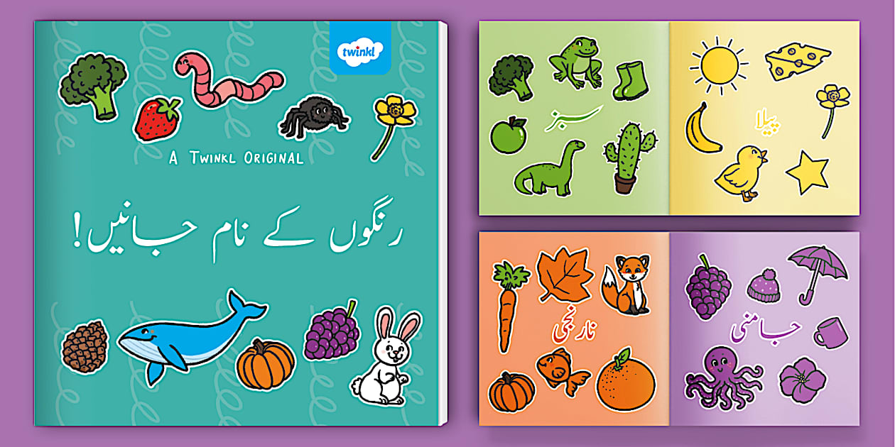 رنگوں کے نام جانیں - Colours Book for Early Years