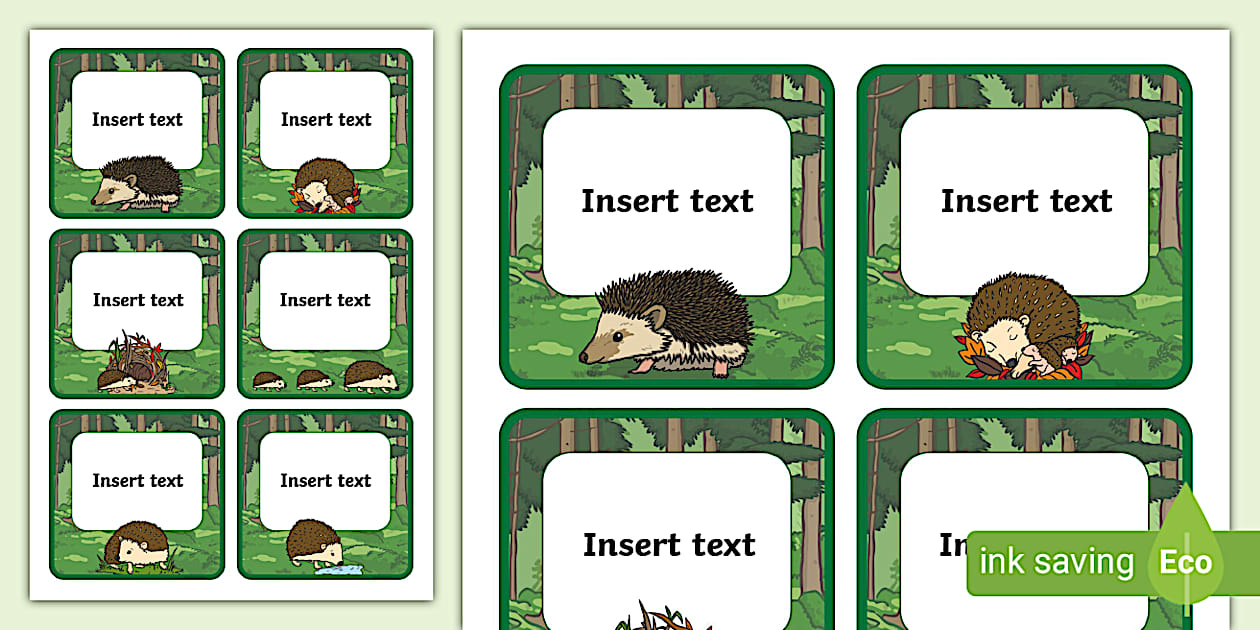 Editable Hedgehog-Themed Peg Labels (Teacher-Made) - Twinkl