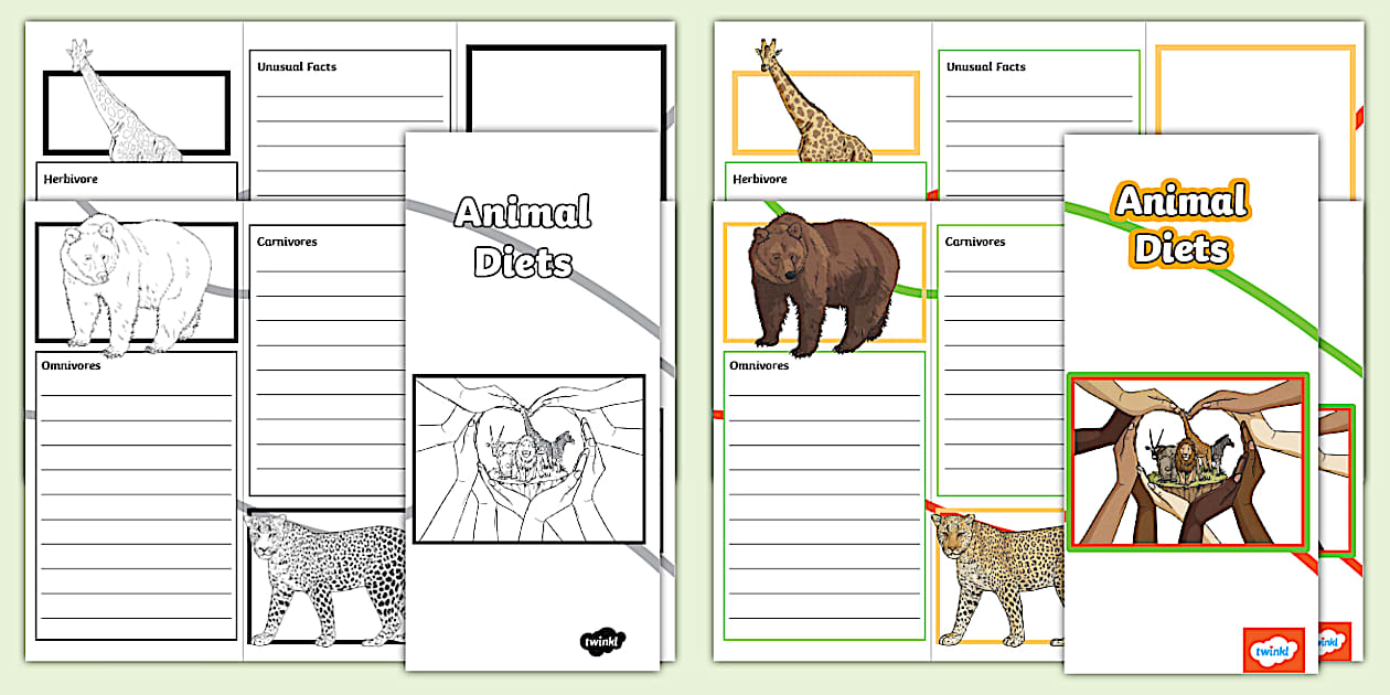 Animal Diets Leaflet Template (teacher made) - Twinkl