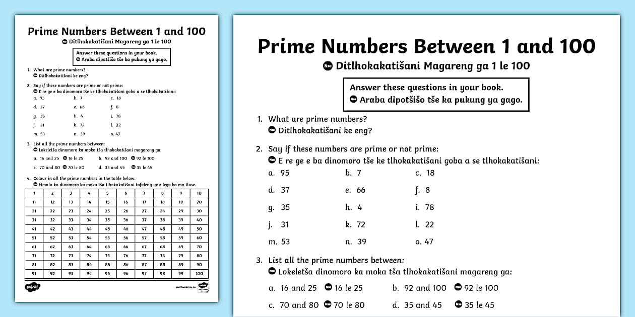 Prime Numbers Between 1 and 100 Activity Sheet Sepedi
