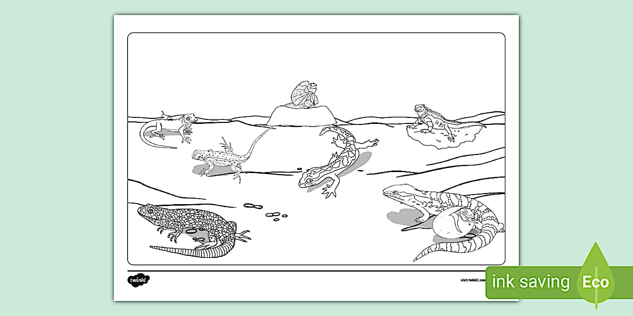 Lizards Colouring Page (teacher made) - Twinkl