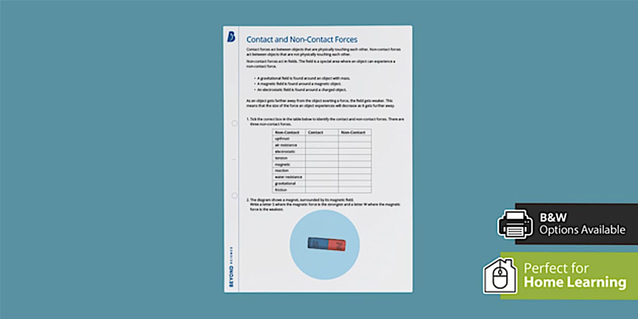 Contact and Non-Contact Forces Independent Learning | Beyond