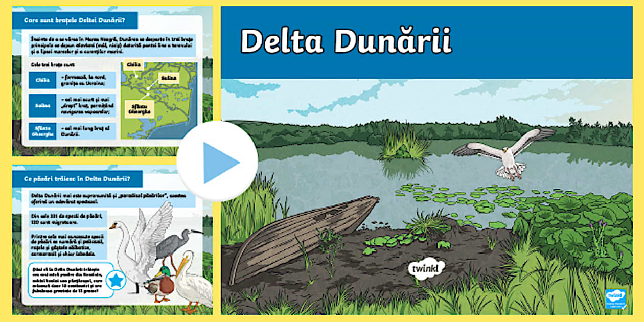 Delta Dunării - Prezentare PowerPoint (creat de profesori)