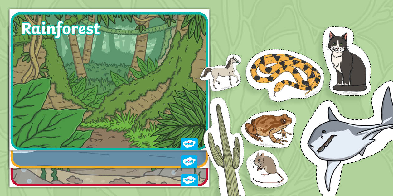 Gr3 LS T4 Living Things and Their Habitats Sorting Activity (CAPS)