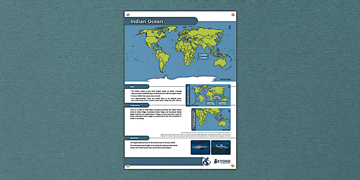 Marine Biomes: Indian Ocean Information Display Poster