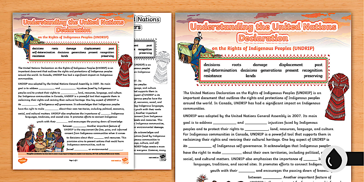 FREE! - Understanding UNDRIP (Teacher-Made) - Twinkl