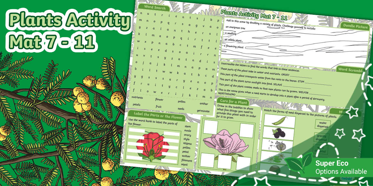 Plants Activity Mat (Ages 7–11)