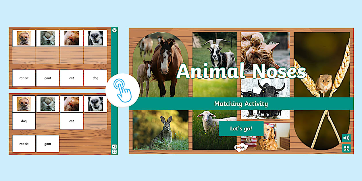Animal Noses Interactive Matching Game (Teacher-Made)