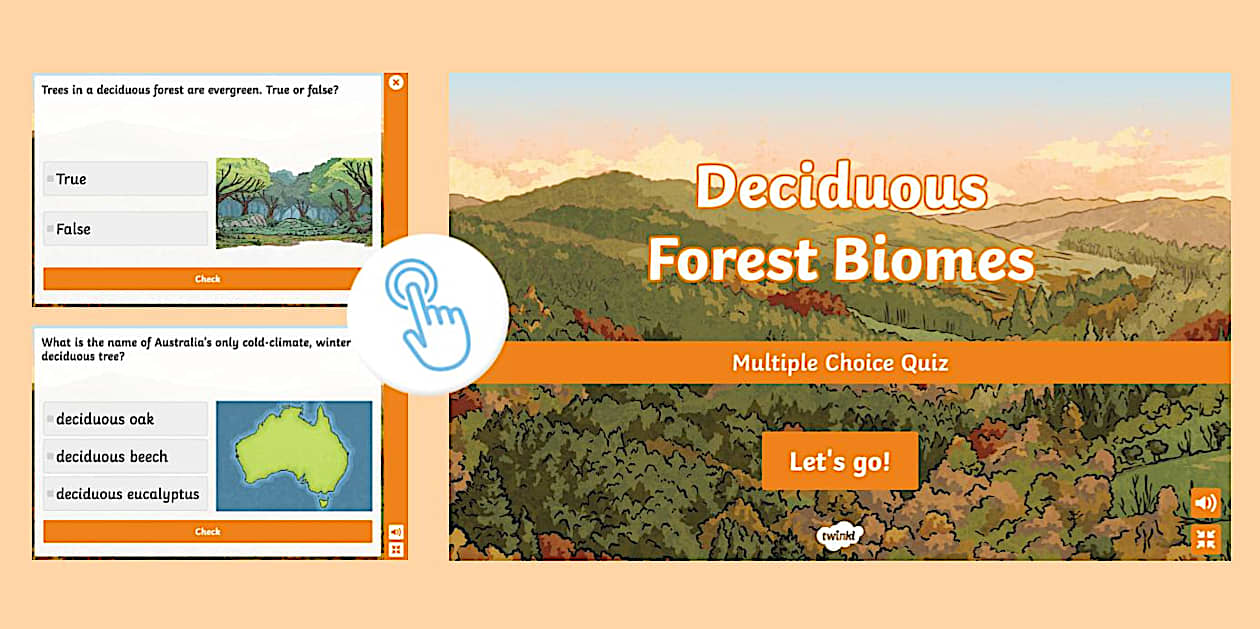Deciduous Forest Biomes Multiple Choice Quiz (teacher made)