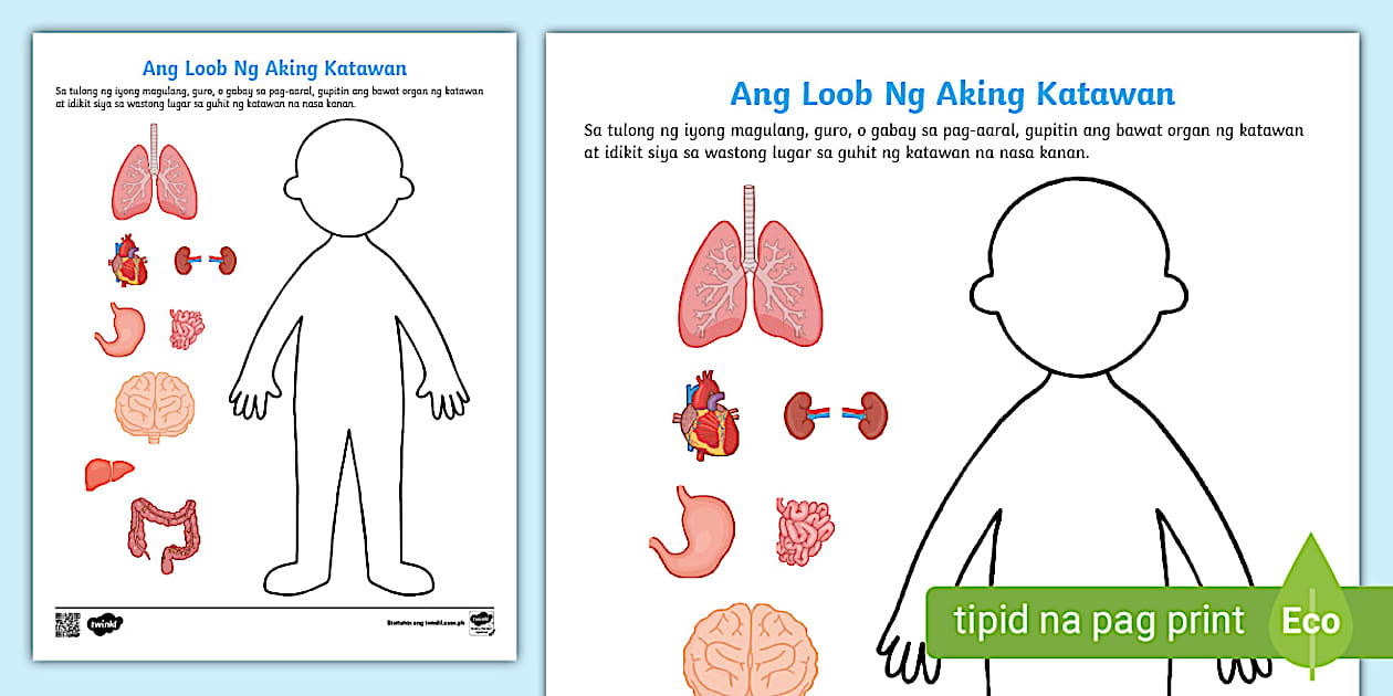 Ang Loob Ng Aking Katawan | Kinder | Twinkl