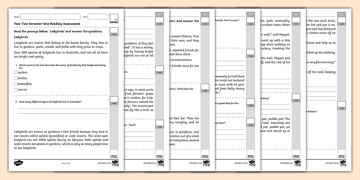 Year 2 Semester 1 Reading Assessment (teacher made) - Twinkl