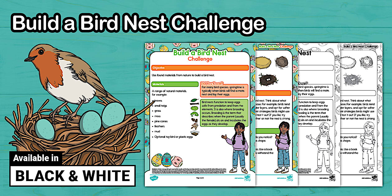 STEM Challenge: Build a Bird Nest