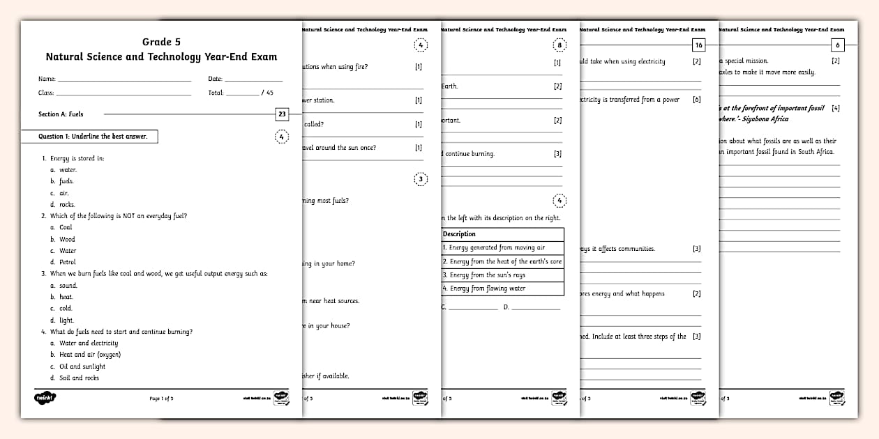 Grade 5 NS Tech Exam Papers | Natural Sciences | Twinkl SA Grade 5 NS Tech Exam Papers | Natural Sciences | Twinkl SA