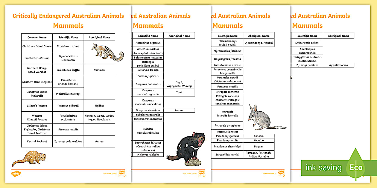 Endangered Australian Mammals Research Starters - Twinkl