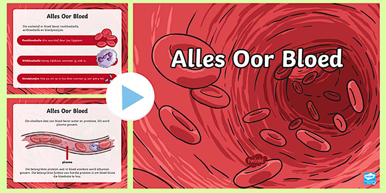 Alles Oor Bloed PowerPoint (teacher made) - Twinkl