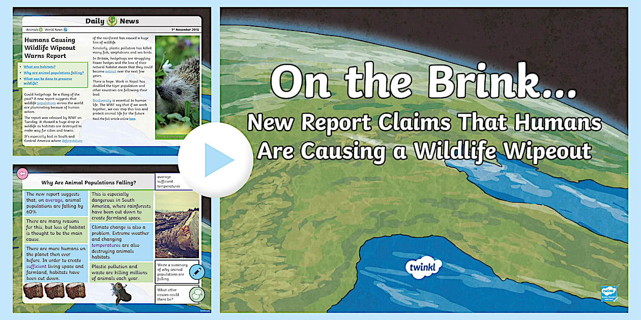 UKS2 Wildlife Wipeout Daily News PowerPoint (teacher made)