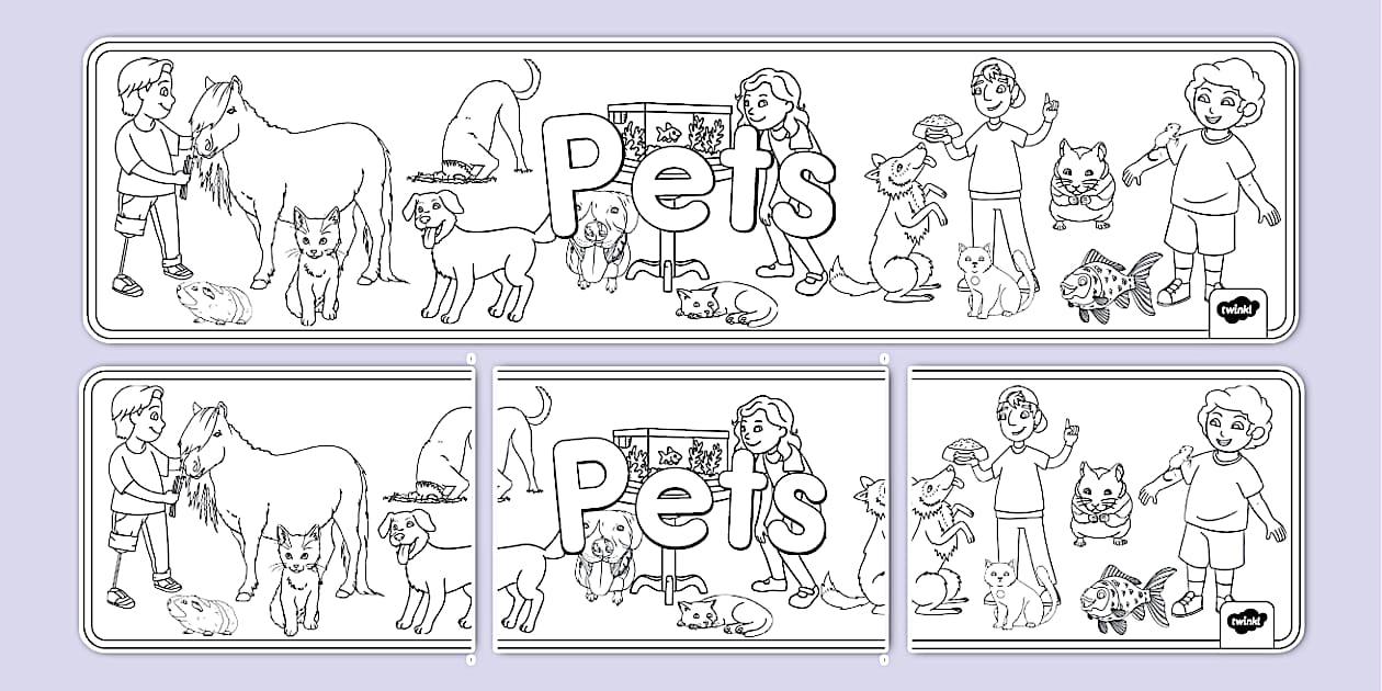 Pets Colouring Display Banner (teacher made) - Twinkl