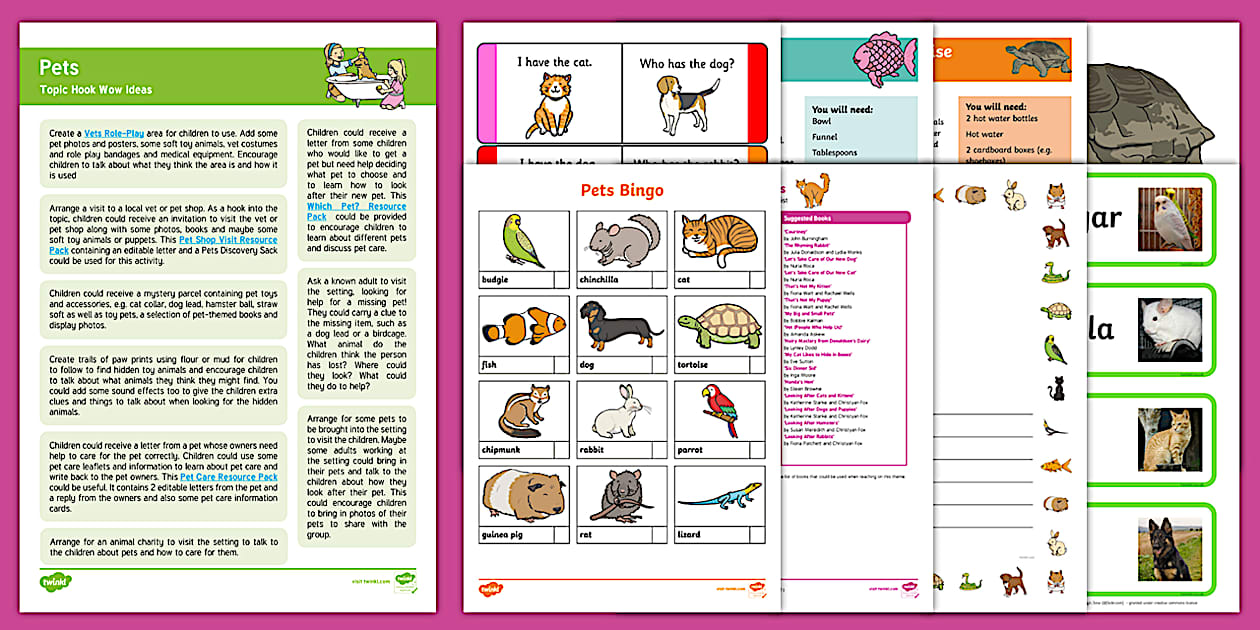 Pets Topic Hook Wow Ideas and Resource Pack (teacher made)