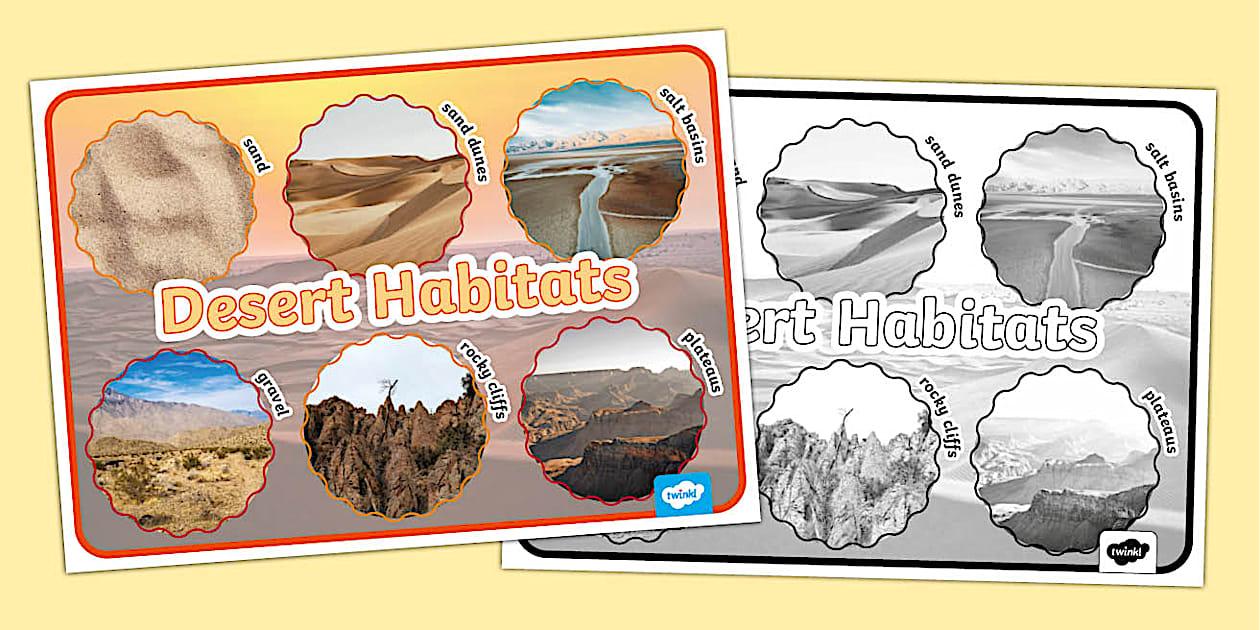 Desert Habitats Photo Display Poster (Teacher-Made) - Twinkl