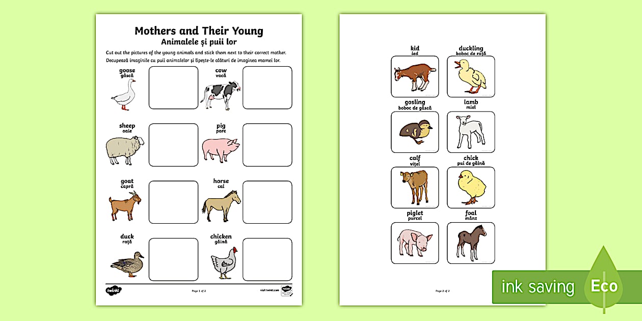 Black and White Mothers and Their Young Farm Animals Matching Activity