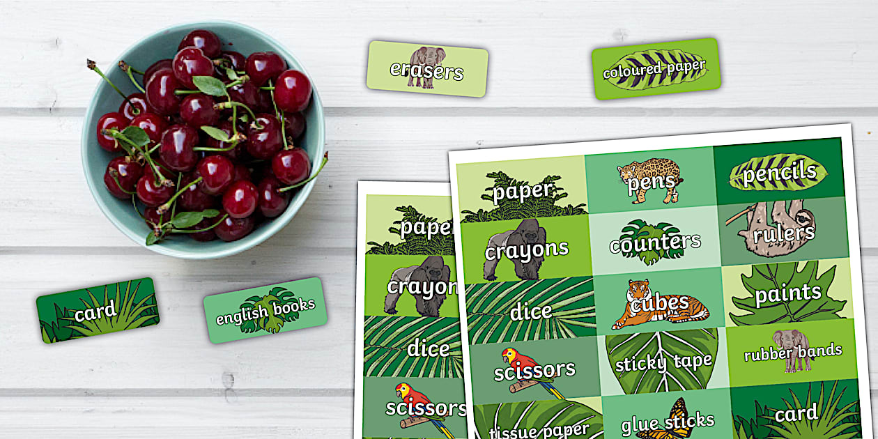 Classroom Storage Cupboard Labels - Rectangle Printable Stickers - Jungle