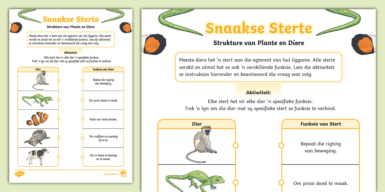 Snaakse Sterte - Strukture van Diere Aktiwiteit - Twinkl