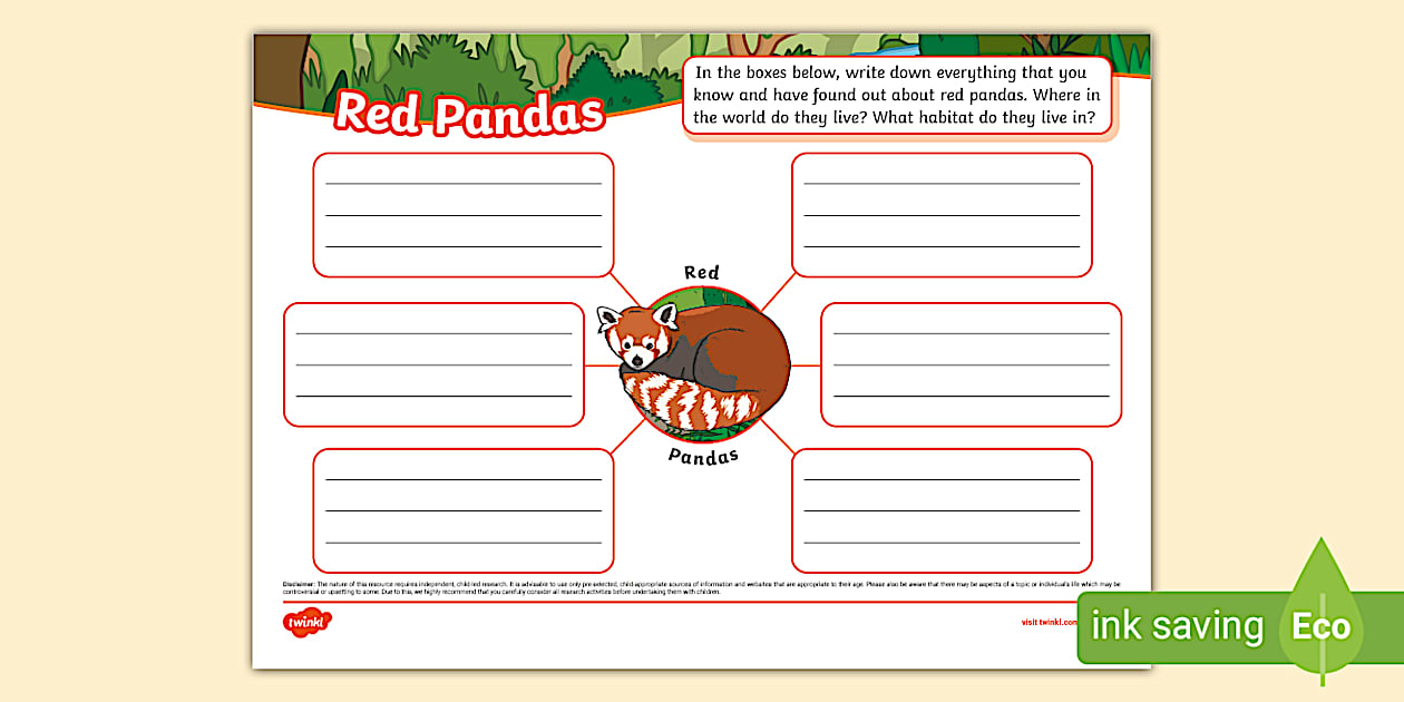Red Panda Mind Map (teacher made) - Twinkl