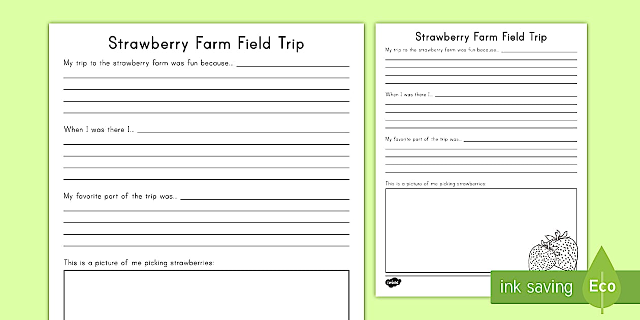 Strawberry Farm Field Trip Write-Up Activity - Twinkl
