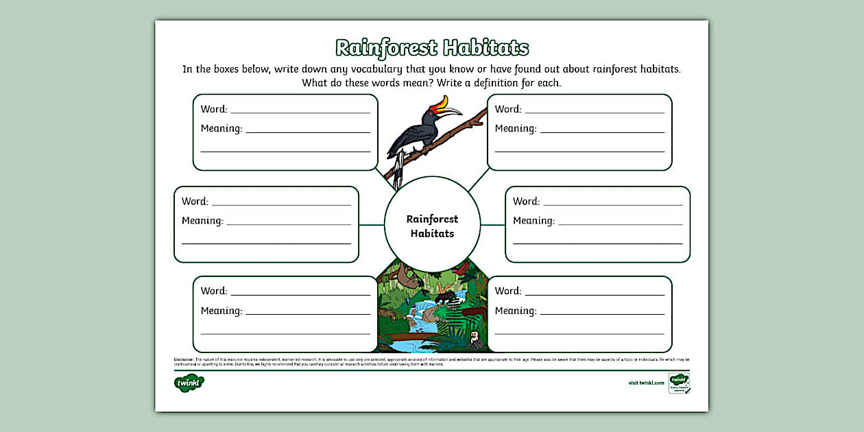 Rainforest Habitats Vocabulary Mind Map - Twinkl