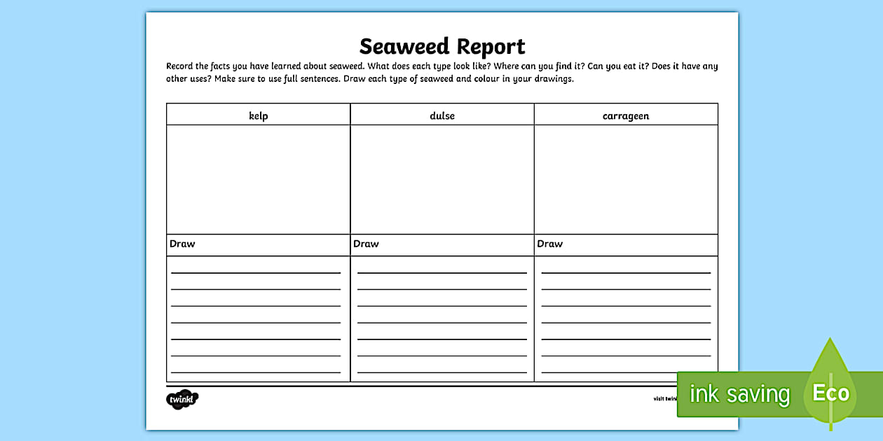Types of Seaweed Report
