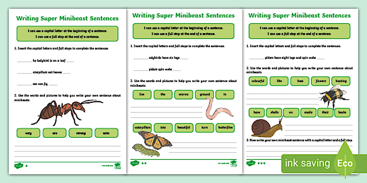 Editable Writing Super Minibeast Sentences Differentiated Worksheets