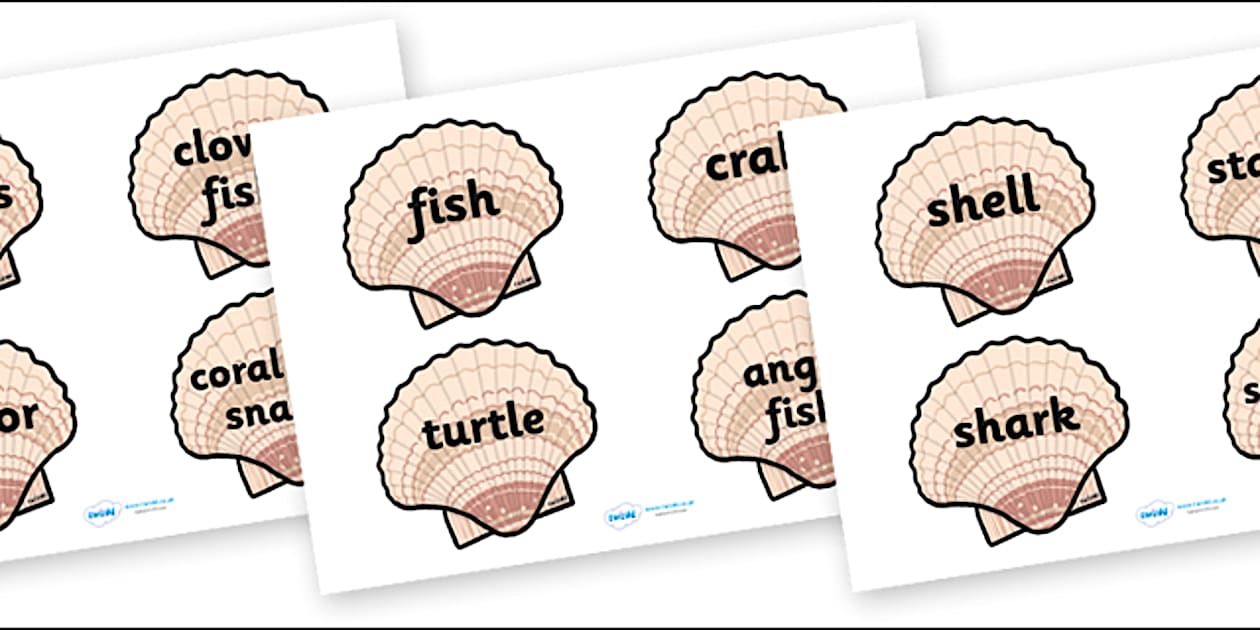 Under the Sea Word Cards (on shells) - Twinkl