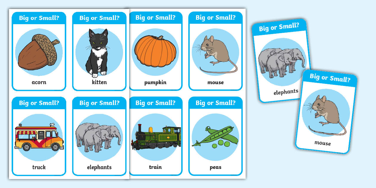 👉 Big or Small? Sorting Flashcards (teacher made)