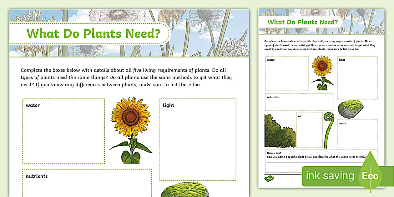 KS2 Plants Needs to Grow - Photosynthesis Worksheet - Twinkl