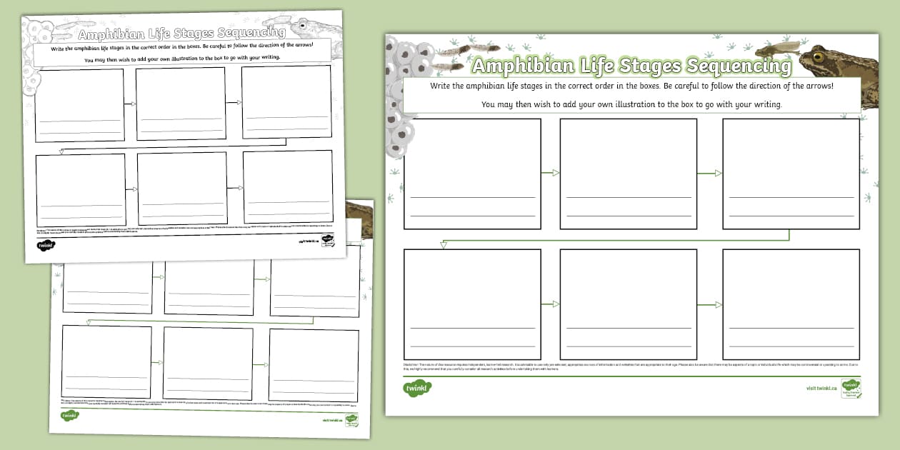 Amphibian Life Stages Sequencing Mind Map (teacher made)