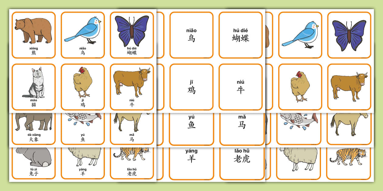 Singapore Zoo Animals Scavenger Hunt Activity Sheets