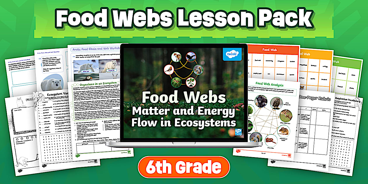 Sixth Grade Food Webs Lesson Pack