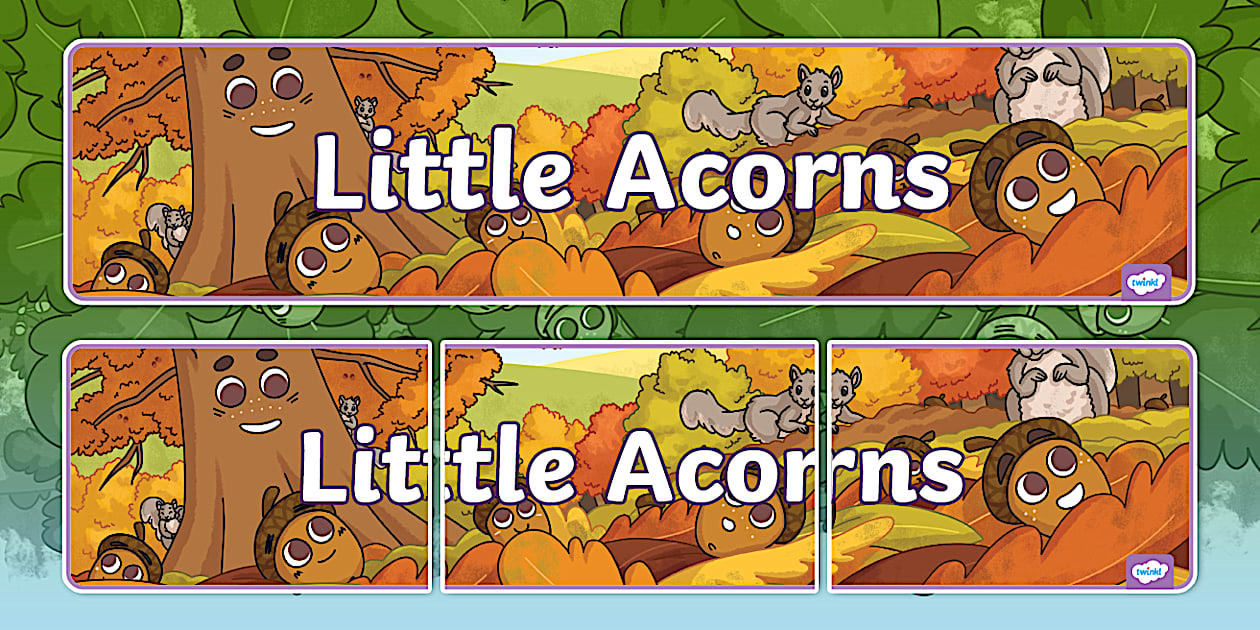 Little Acorns Display Banner (teacher made) - Twinkl