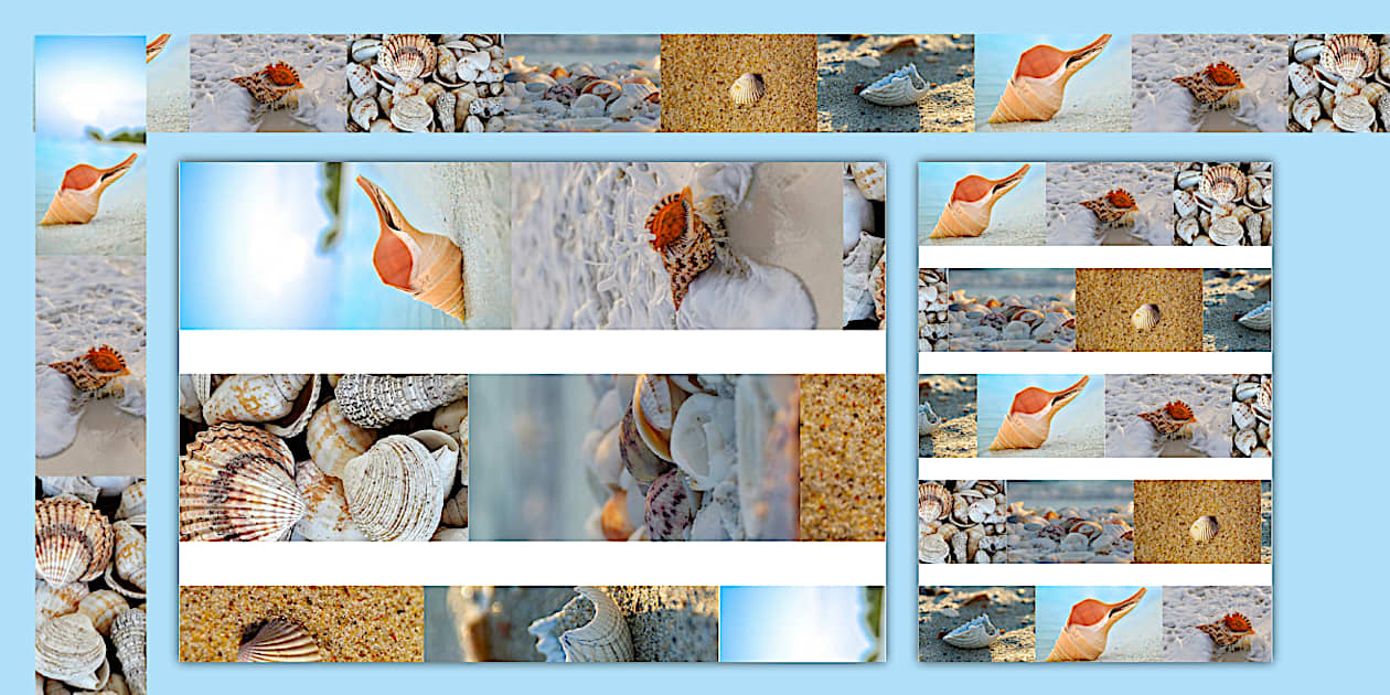 Shell Photo Display Borders - Twinkl - KS1 (teacher made)