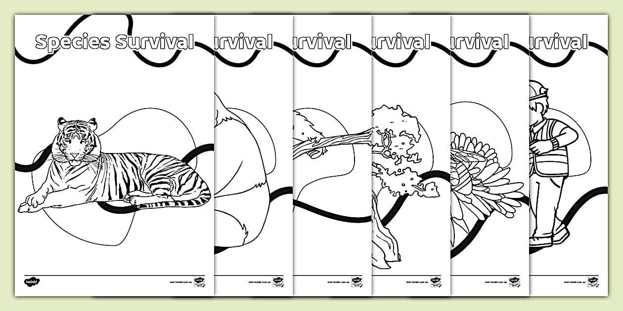Species Survival Colouring page (F-2) (teacher made)