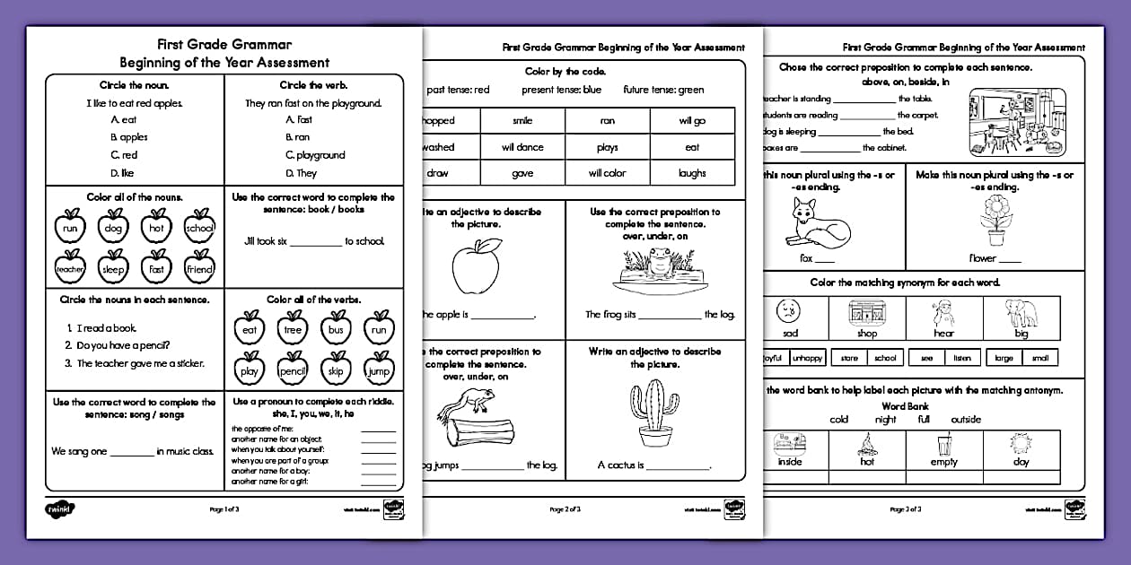 First Grade Beginning of the Year Grammar Assessment