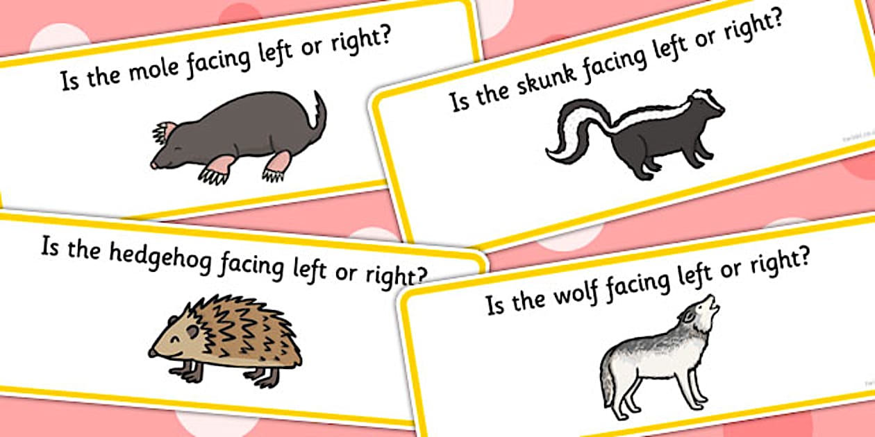 Right And Left Animal Cards (teacher made) - Twinkl