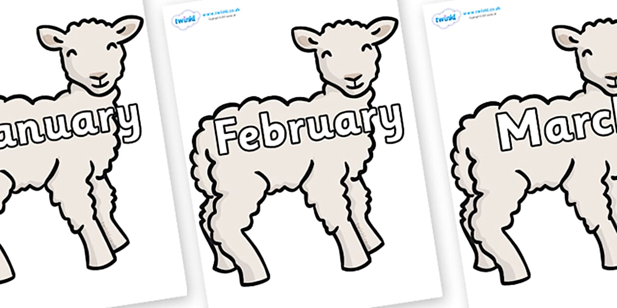 Months of the Year on Lambs (teacher made) - Twinkl